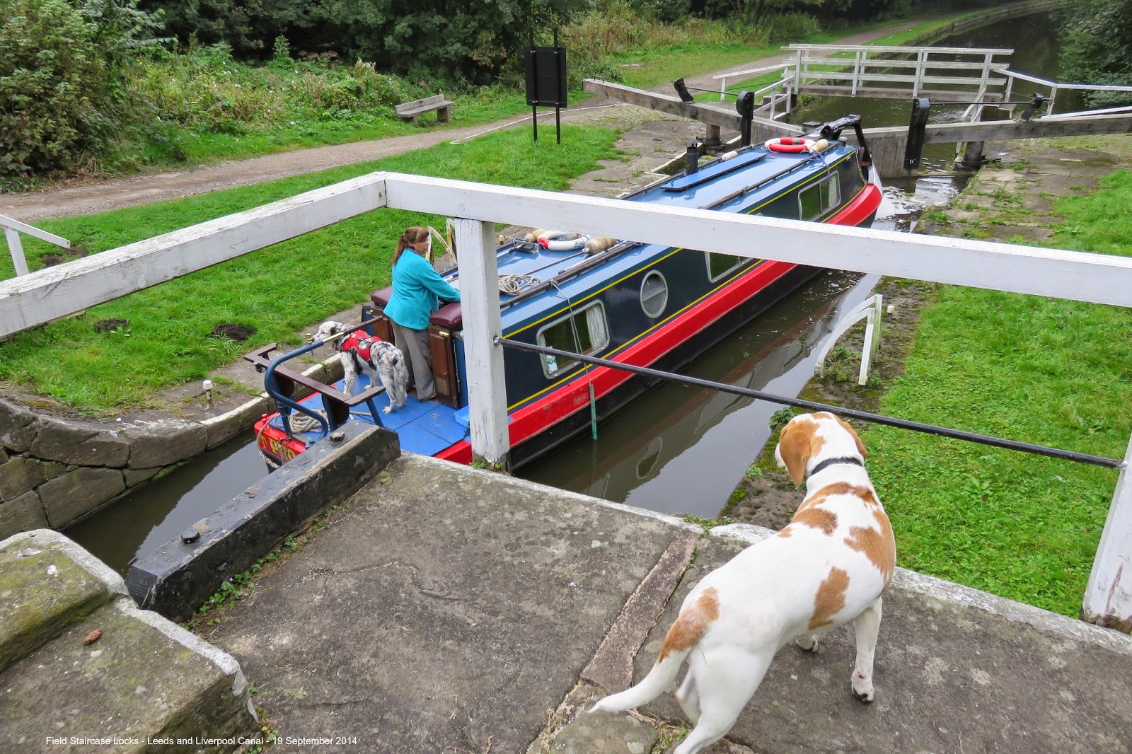 Colne Valley Beagles and other things of interest.: HOLIDAY SNAPS!