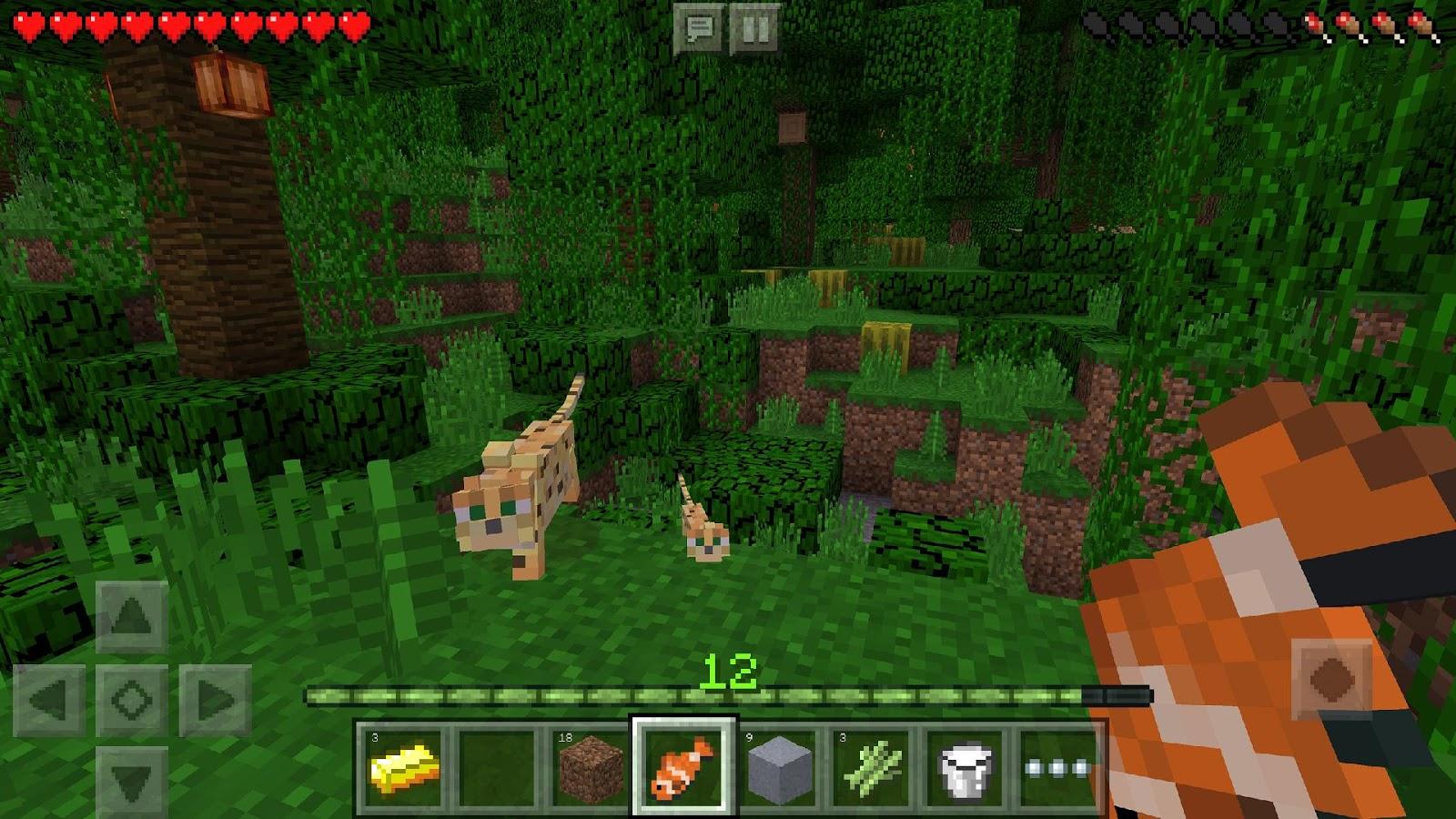 Minecraft pocket edition free game - crowdker