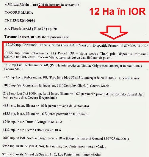 Prietenii parcului IOR: Mall construit pe teren furat Statului, în ...