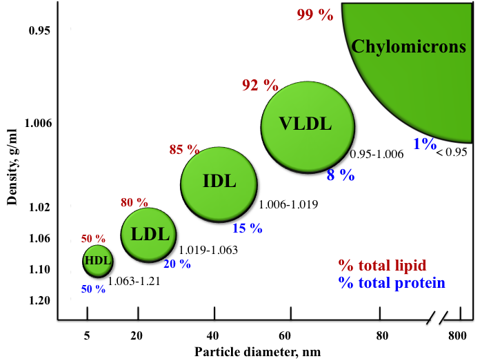 World of Biochemistry (blog about biochemistry): Lipoproteins (general ...