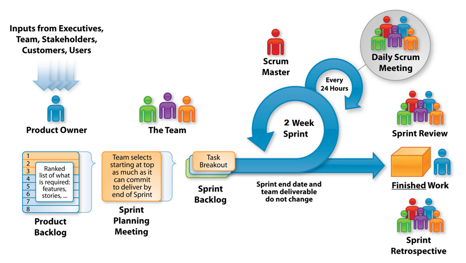 Automated Software Testing: Scrum workflow and Scrum Roles in Organization