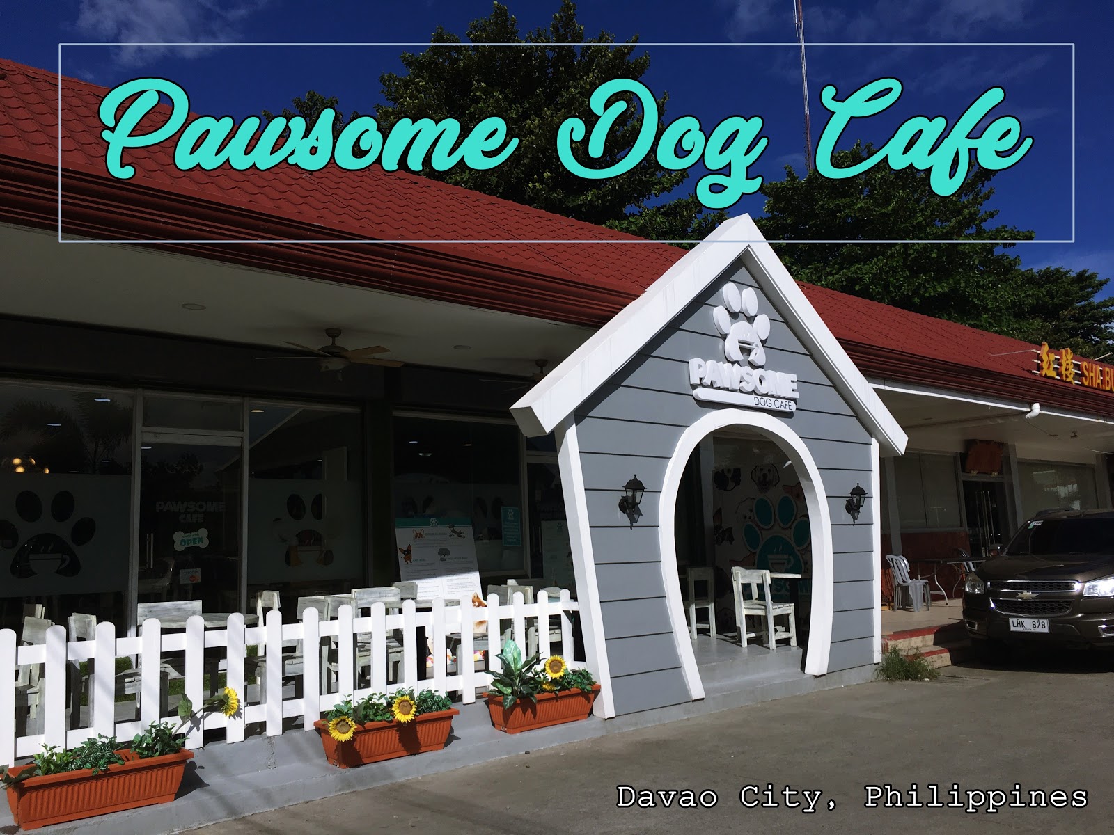 Awesome Paws at Pawsome Dog Café - My Notebook