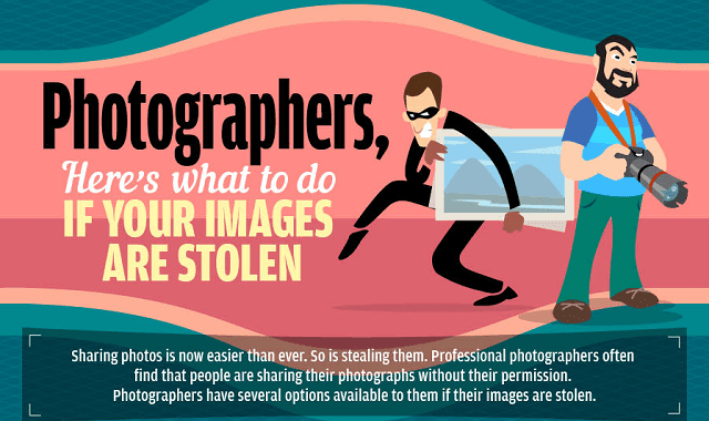Photographers: Here’s What to Do If Your Images Are Stolen #infographic ...