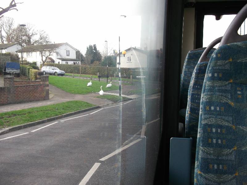 London buses one bus at a time: the return: The Number 377 Route