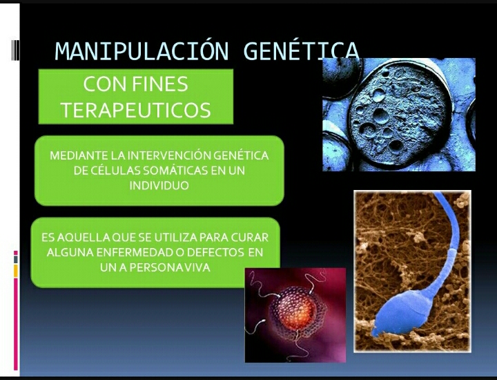 Manipulación Genética : Manipulación Genética y la Ingeniería Genética