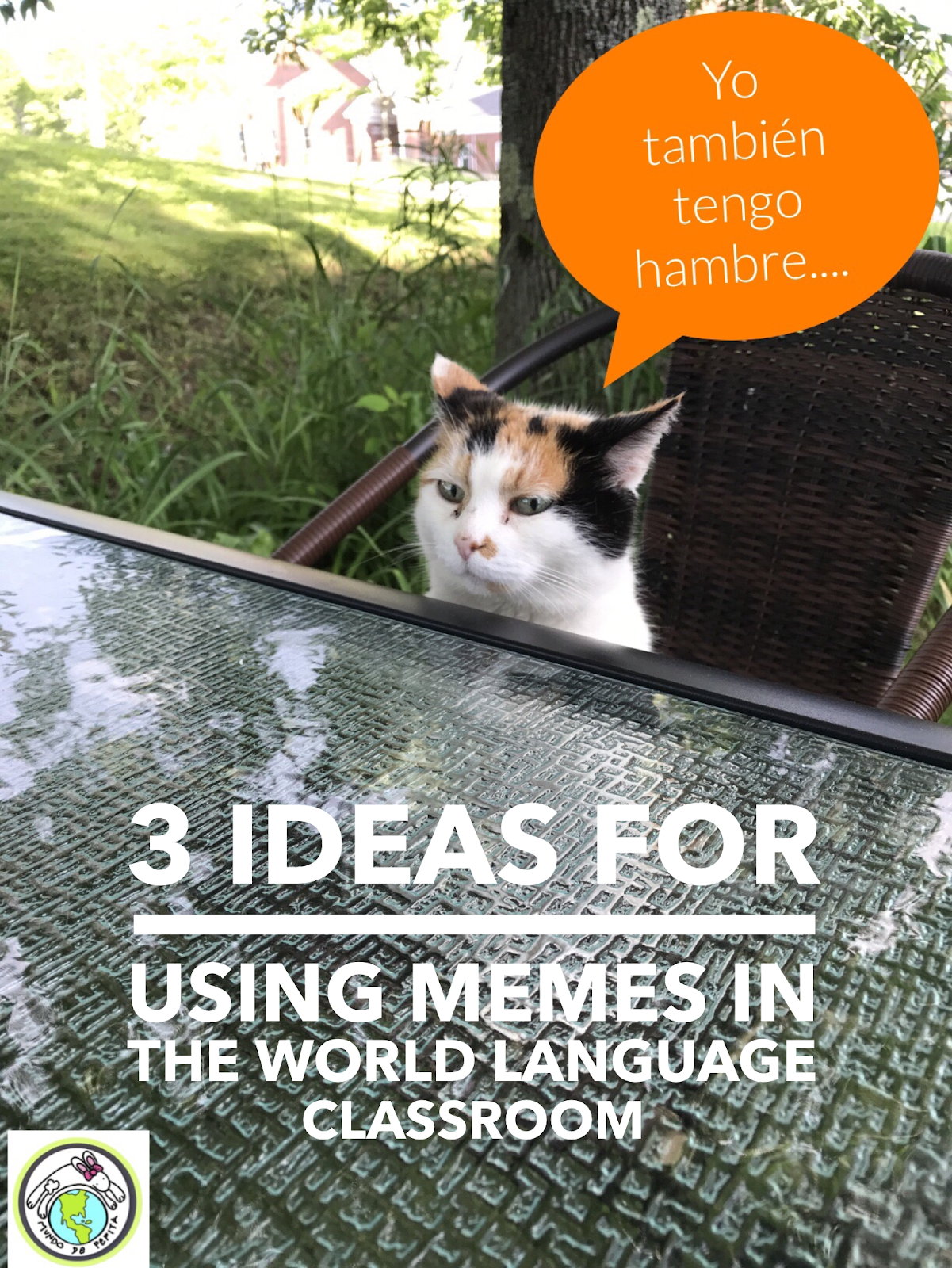 3 Ideas for Using Memes in the World Language Classroom | Mundo de Pepita