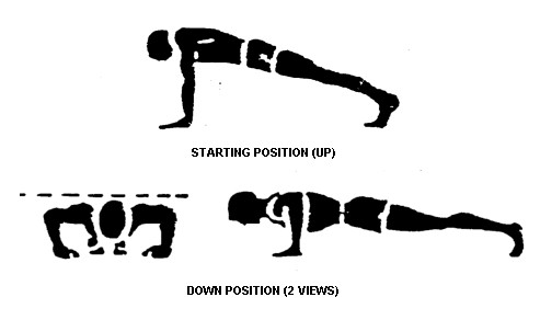 Daily Fitness Challenge: Skipper's 3/28 Challenge: 30 Minute Push-up ...