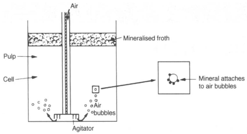 Tahu Metalurgi: FLOTASI