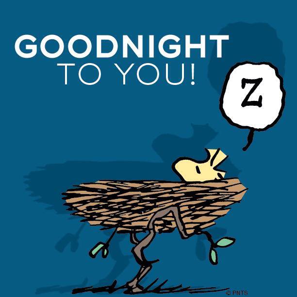FREE Cartoon Graphics / Pics / Gifs / Photographs: Cartoon Good Night ...