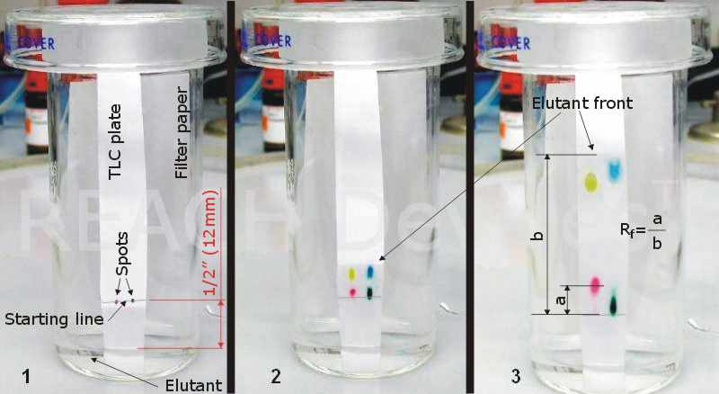 savvy-chemist: GCSE OCR Gateway Chemistry C2.1g–k Chromatography