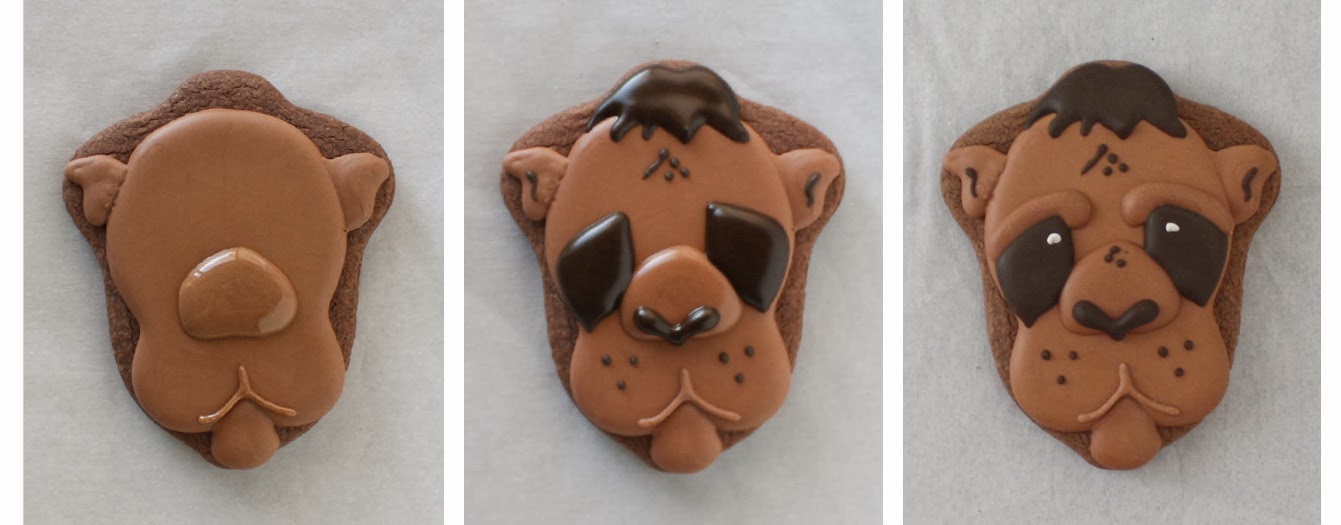 Camel Cookie Tutorial