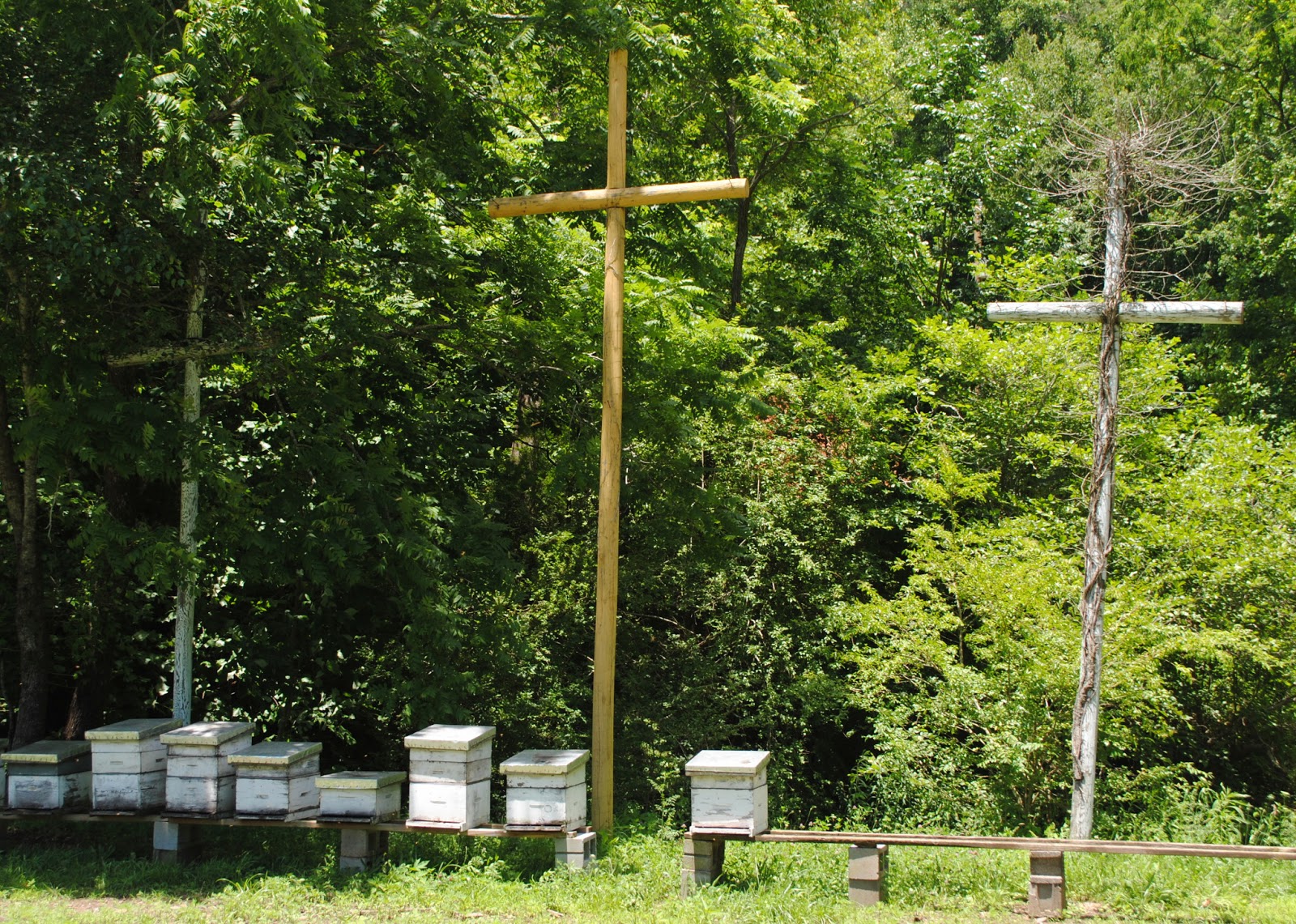 The Carpetbagger: Reverend Bernard Coffindaffer