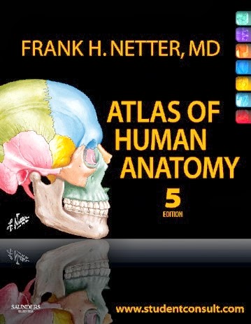 NETTER'S ATLAS OF HUMAN ANATOMY 5TH EDITION.