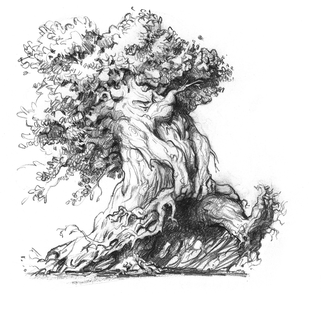 WOUTER TULP INTERVIEW: Wouter Tulp Gallery