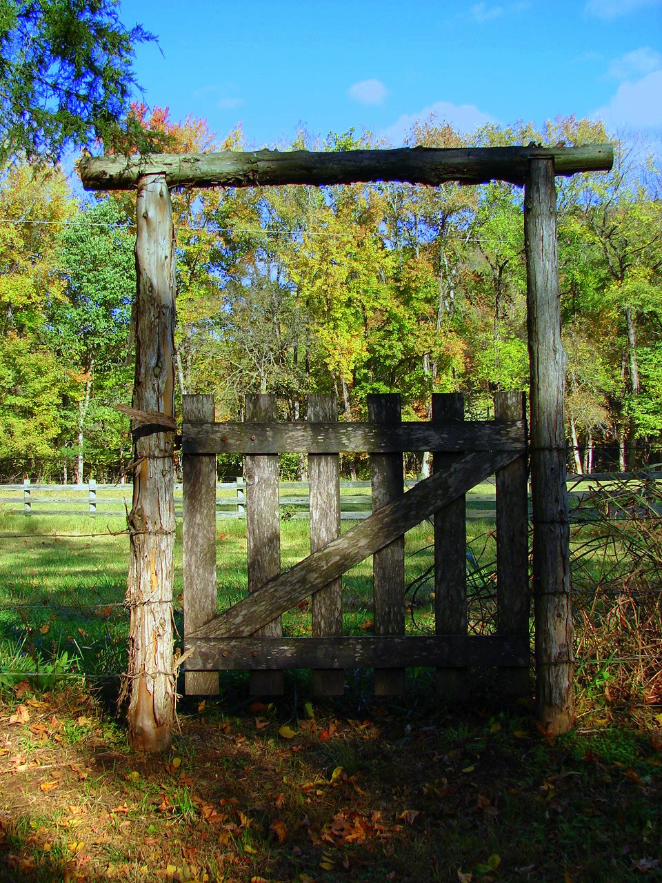 Expeditions by Tricia: HISTORIC BOXLEY GRIST MILL