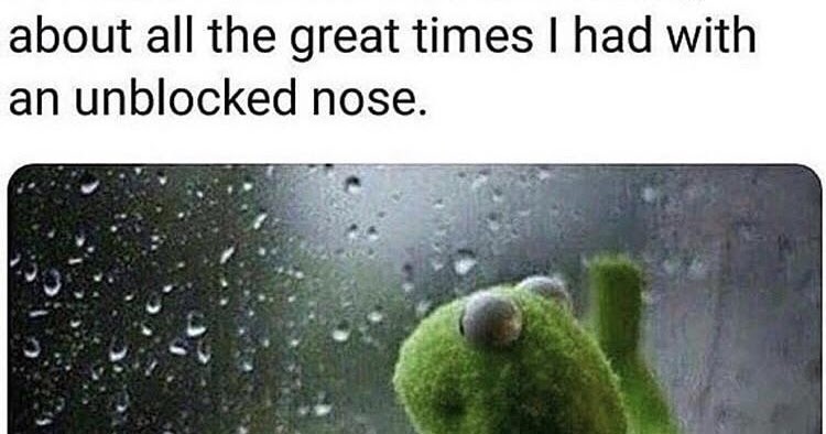 Me with a blocked nose thinking about all the great times I had with an ...