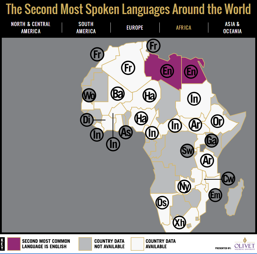 beyond-niamey-second-most-spoken-languages-in-africa