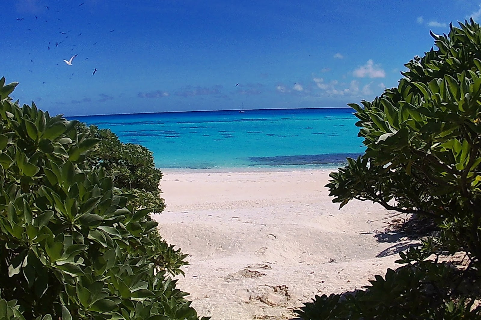 Dreamtime Sail: The awesomeness of remote North East Herald Cay amongst ...