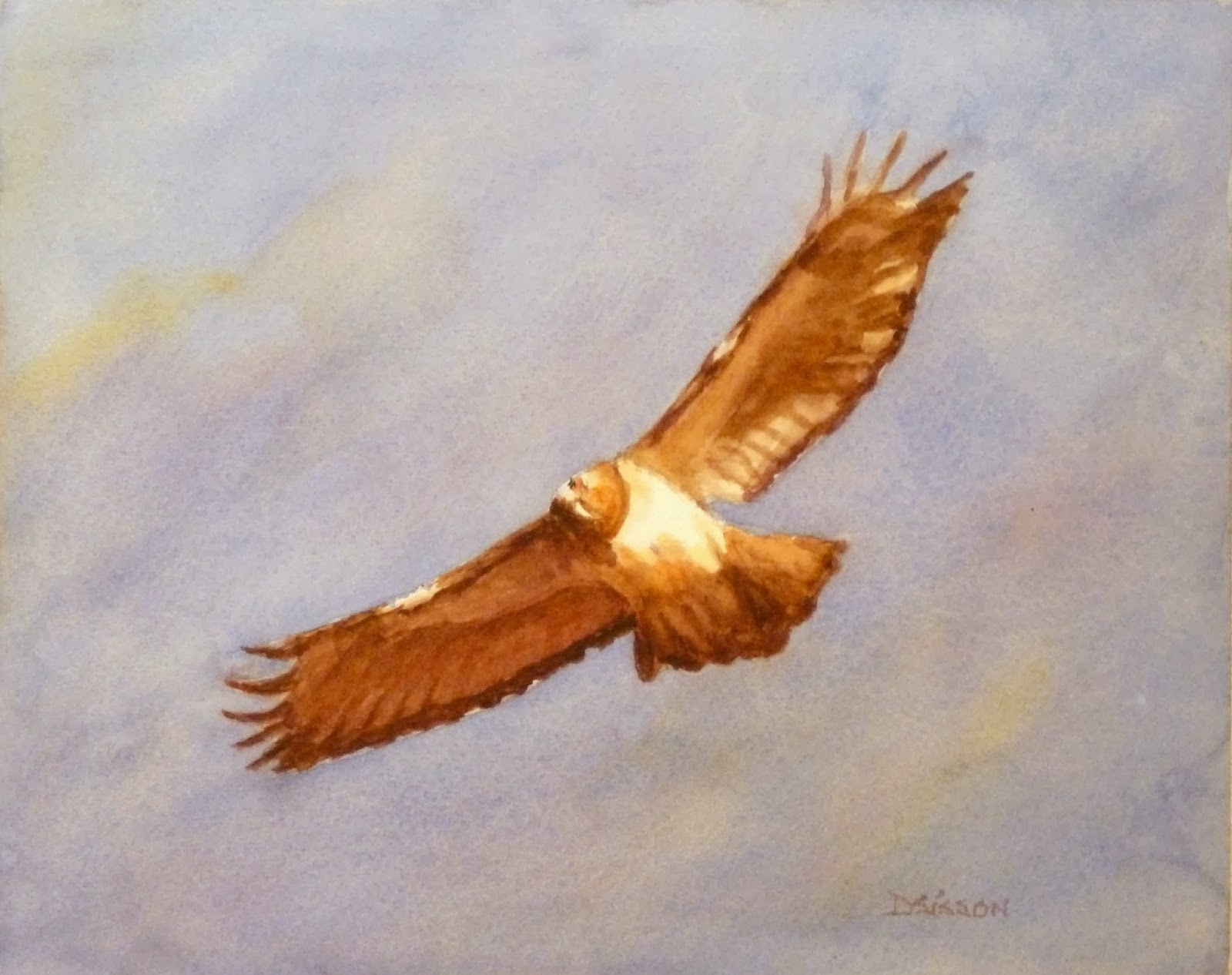 Daily Painting Projects: Hawk in Winter Sky Watercolor Painting ...