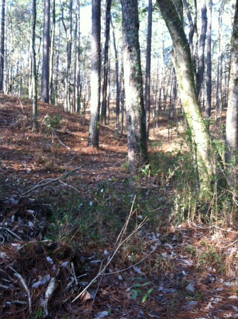 The Solo Runner - One Guy's Ultra-Running Adventures: A Guide To ...