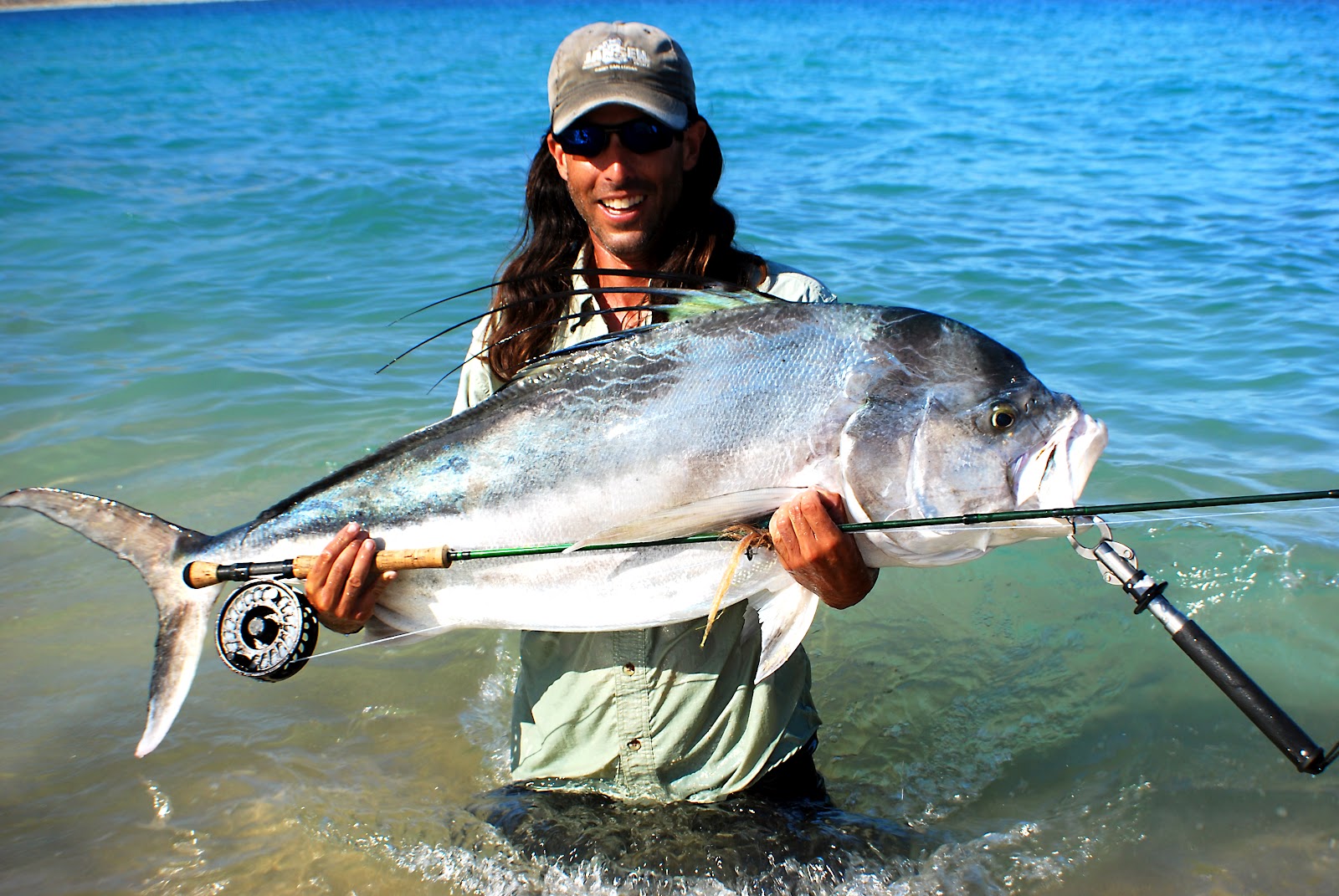 Big Fishes of the World: ROOSTERFISH (Nematistius pectoralis)