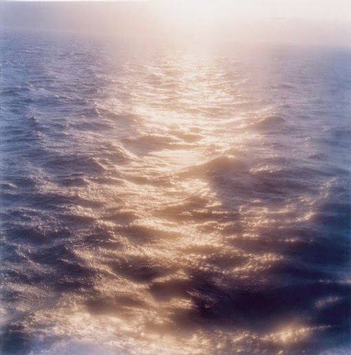 PHOTOGRAPHY: RINKO KAWAUCHI