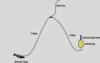 AKU SUKA MEMANCING: TIPS KEJAYAAN MEMANCING DI KELONG 2 : PENGGUNAAN ...