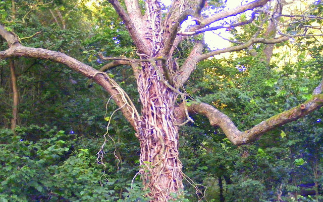 Staffordshire Photo: 01/09/2012 - 01/10/2012