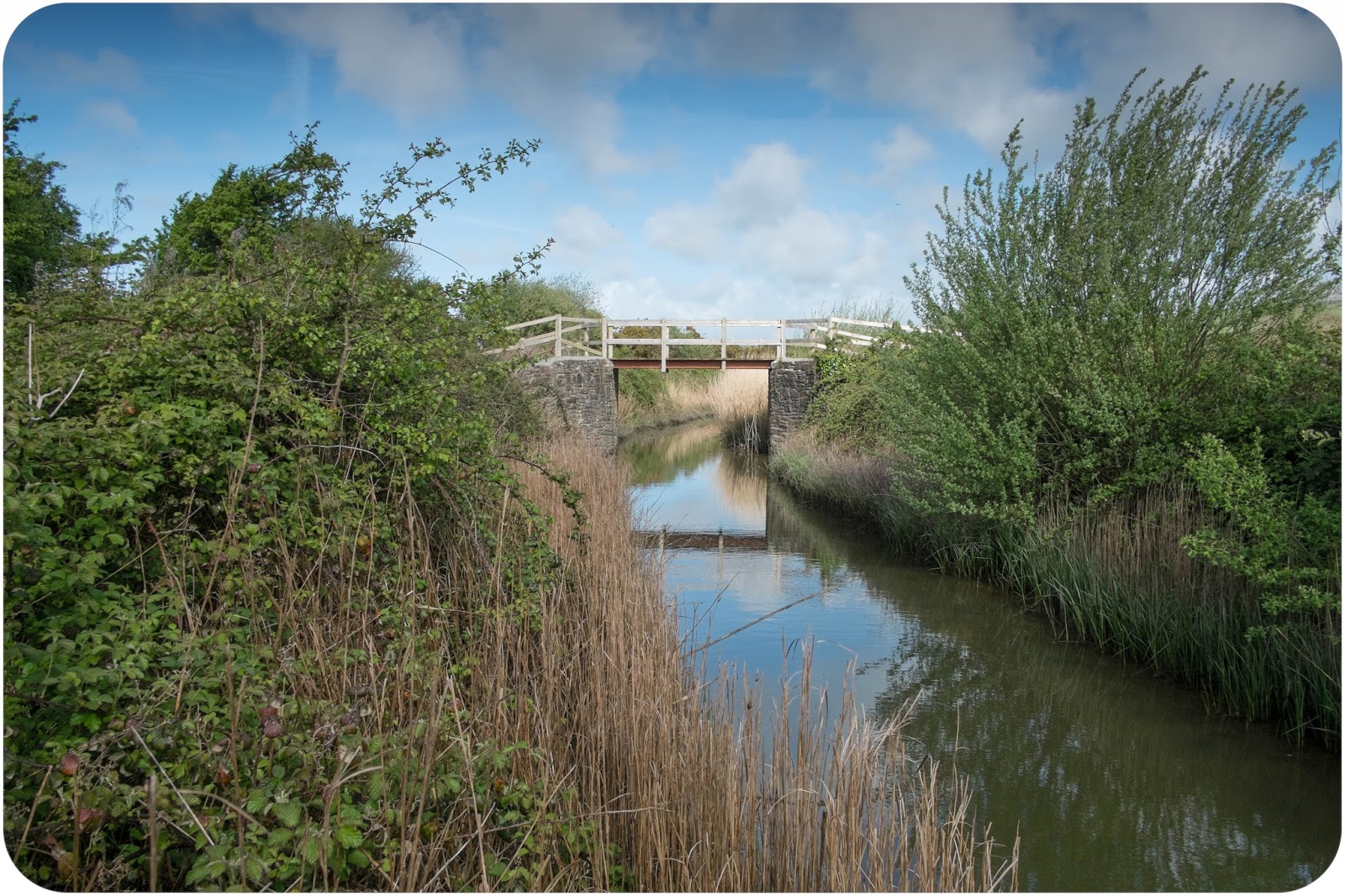 Carmarthenshire Rambles . . . . .: Kymer's Quay and Canal, Kidwelly.