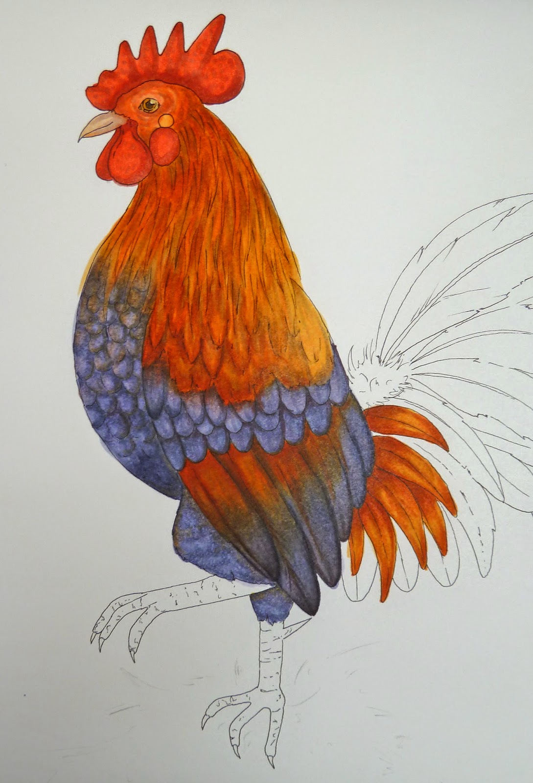 COPIC Friends Schweiz: Hahnen Tutorial