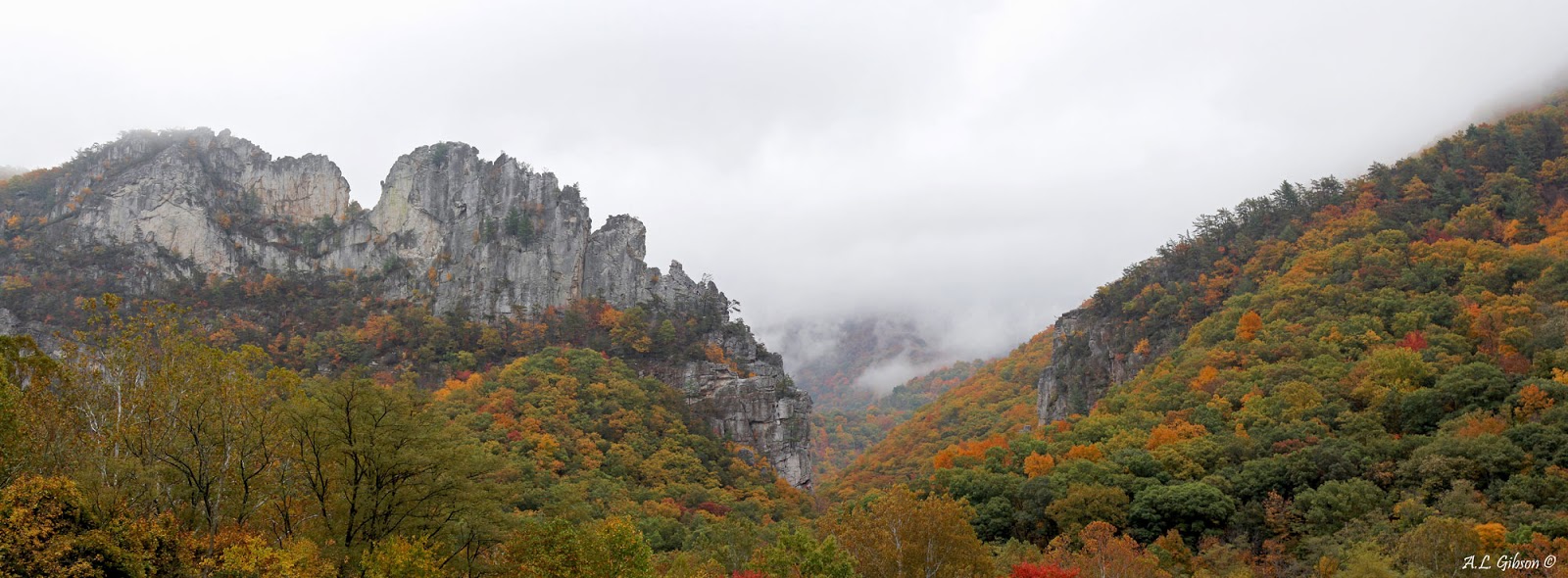 The Buckeye Botanist: West Virginia's Seneca and Champe Rocks