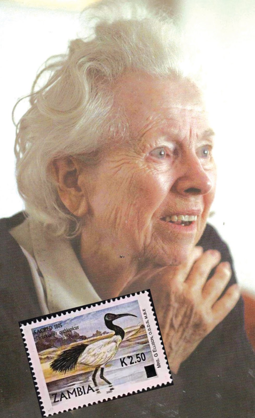 Gabriel Ellison: the woman who kept us posted