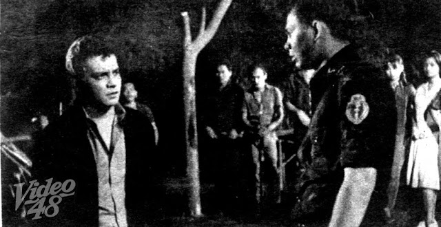 FPJ: FERNANDO POE, JR. AND ANDY POE, WITH PERLA BAUTISTA, LITO ANZURES ...