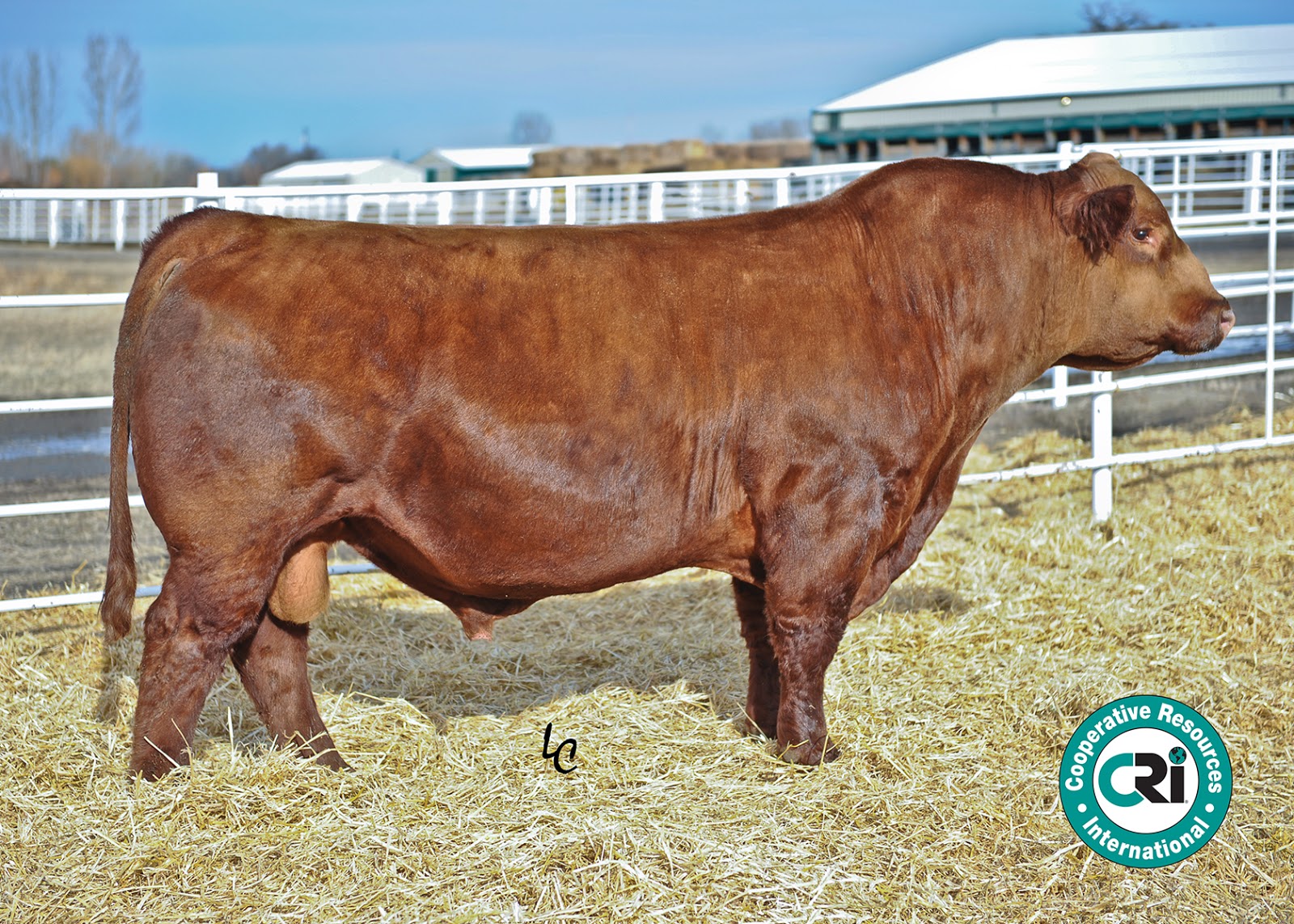 The GENEX Blog: On the Road with Lorna and Willie