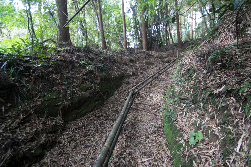 Sadowara Castle -Two-sided castle of two-sided domain- | Ken's Storage ...