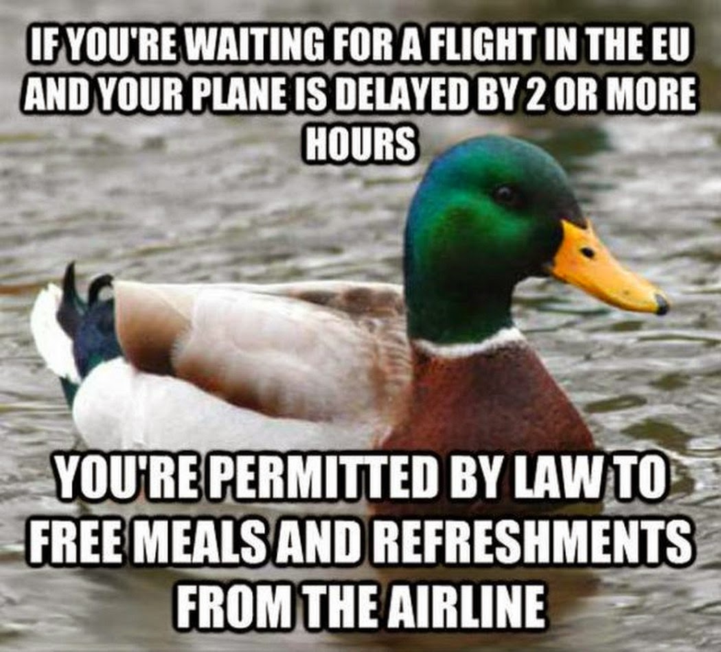 Chuck's Fun Page 2: Advice mallard has some suggestions for you (15 pics)