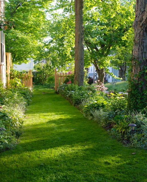 Wife, Mother, Gardener: Views from the Shade Path Garden