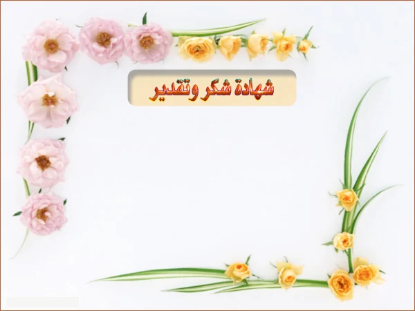 صور شهادات تقدير 2022 شهادات فارغة للتعديل - مصراوى الشامل