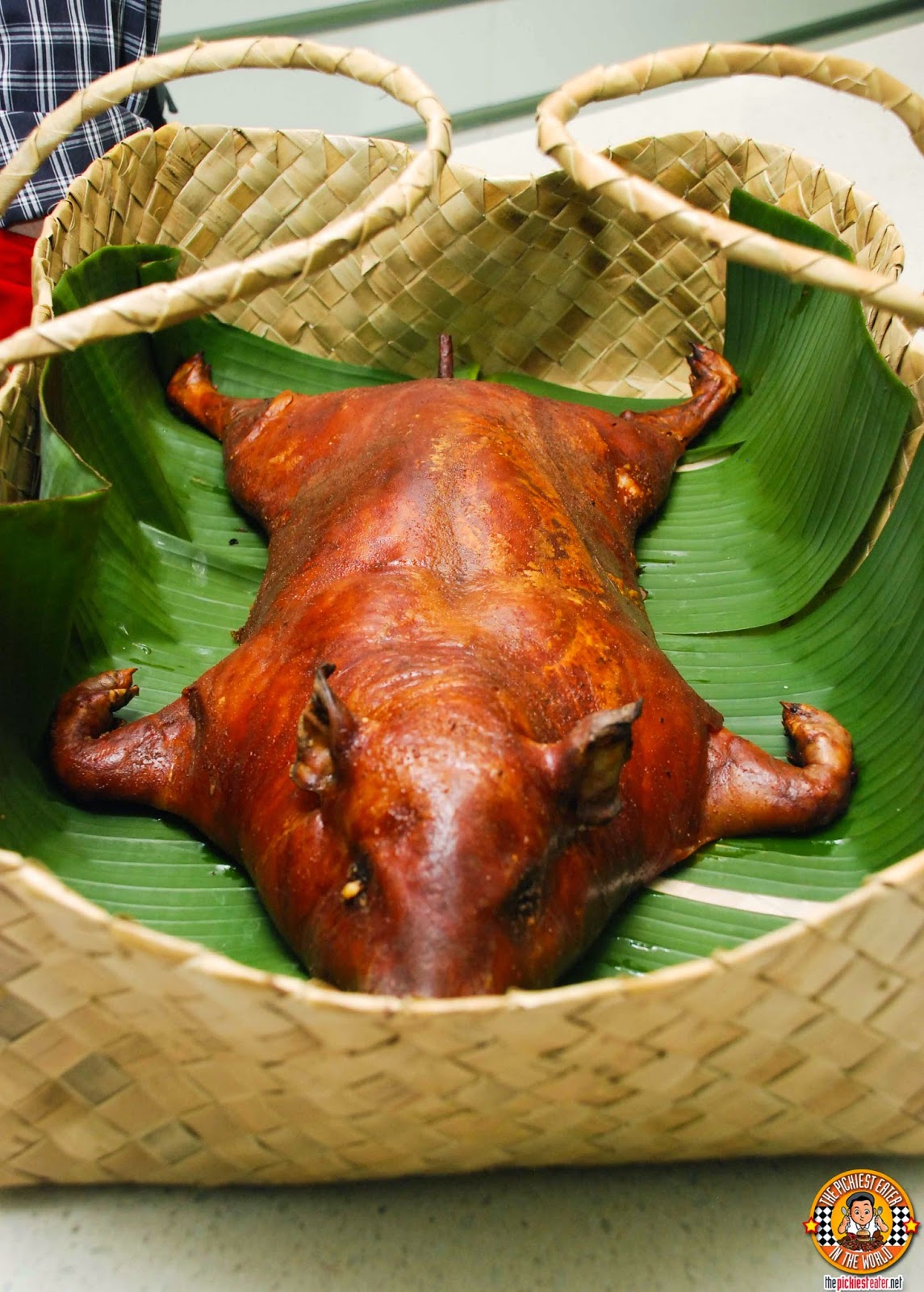 THE PICKIEST EATER IN THE WORLD: WHO IS MR. COCHINILLO?