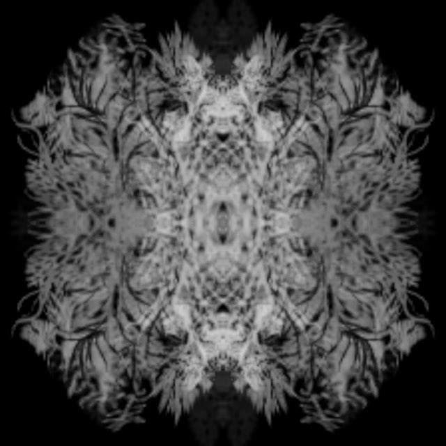 Gimp Style: Masks 0001 - 0005