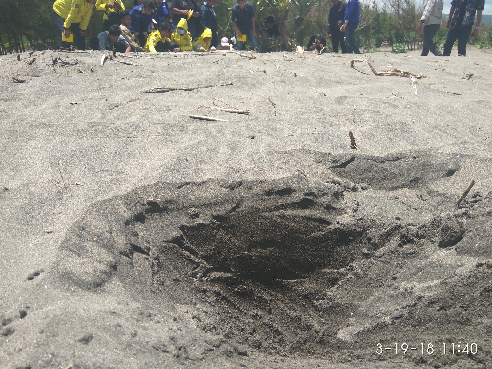 Belajar Batubara: Laporaan Geologi Desa Kaligending dan Plumbon Kelompok 2