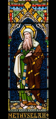 The Methuselah Blog (Random Thoughts)