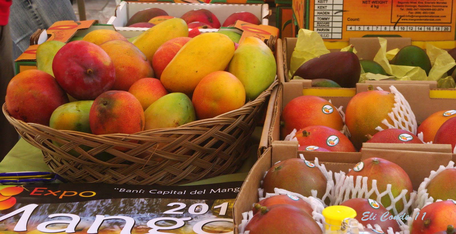 Con ojos curiosos en Rep.Dominicana: Expo mango ,2011.Hay gran variedad ...