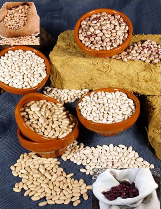 zerezas-otrasformasdecocinar: Propiedades de las Alubias-Variedades y ...