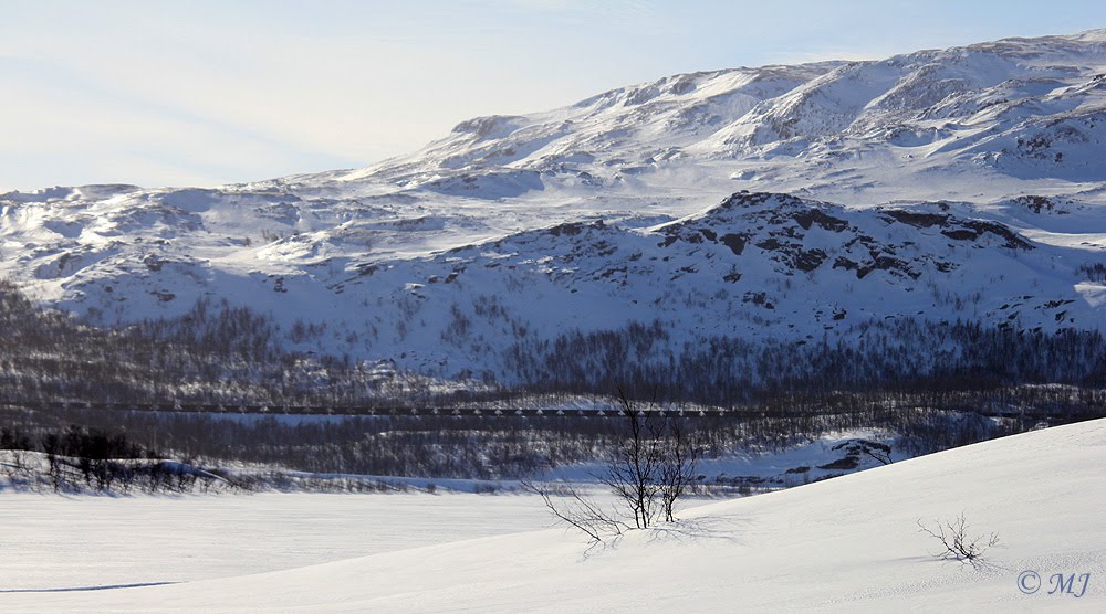 Beppans allehanda: Vita vidder