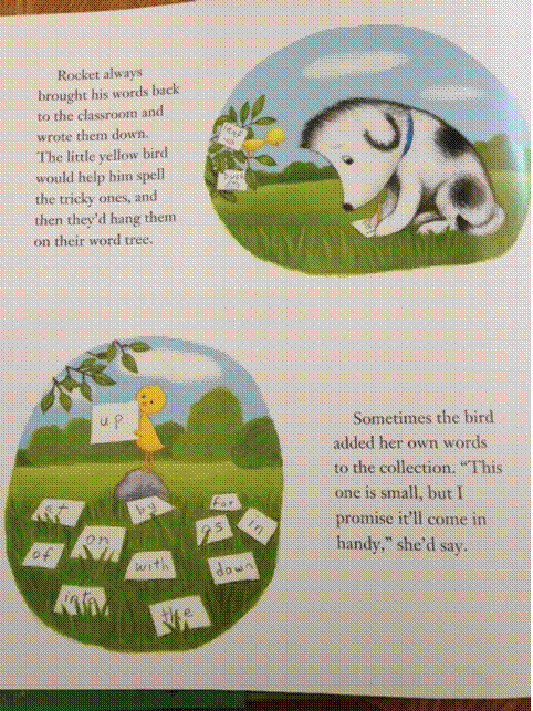 Coconut Cutie's Classroom: What's New?