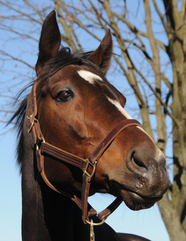 Two Minute Lick: Remembering Mighty Rachel