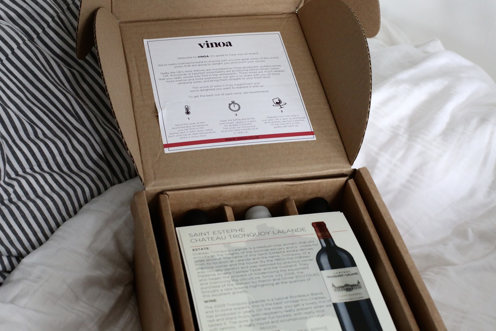 Emtalks: Vinoa Wine Box Subscription Tasting Review - Christmas Gift Idea