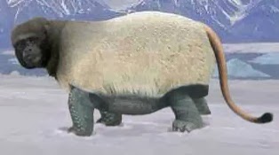 Core French with Mme Batchelor: Les animaux mélangés