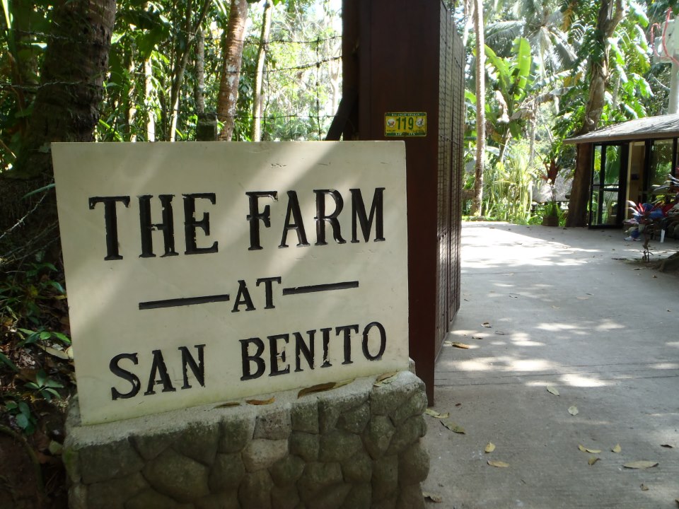 The Farm (at San Benito, Lipa City, Batangas)london life
